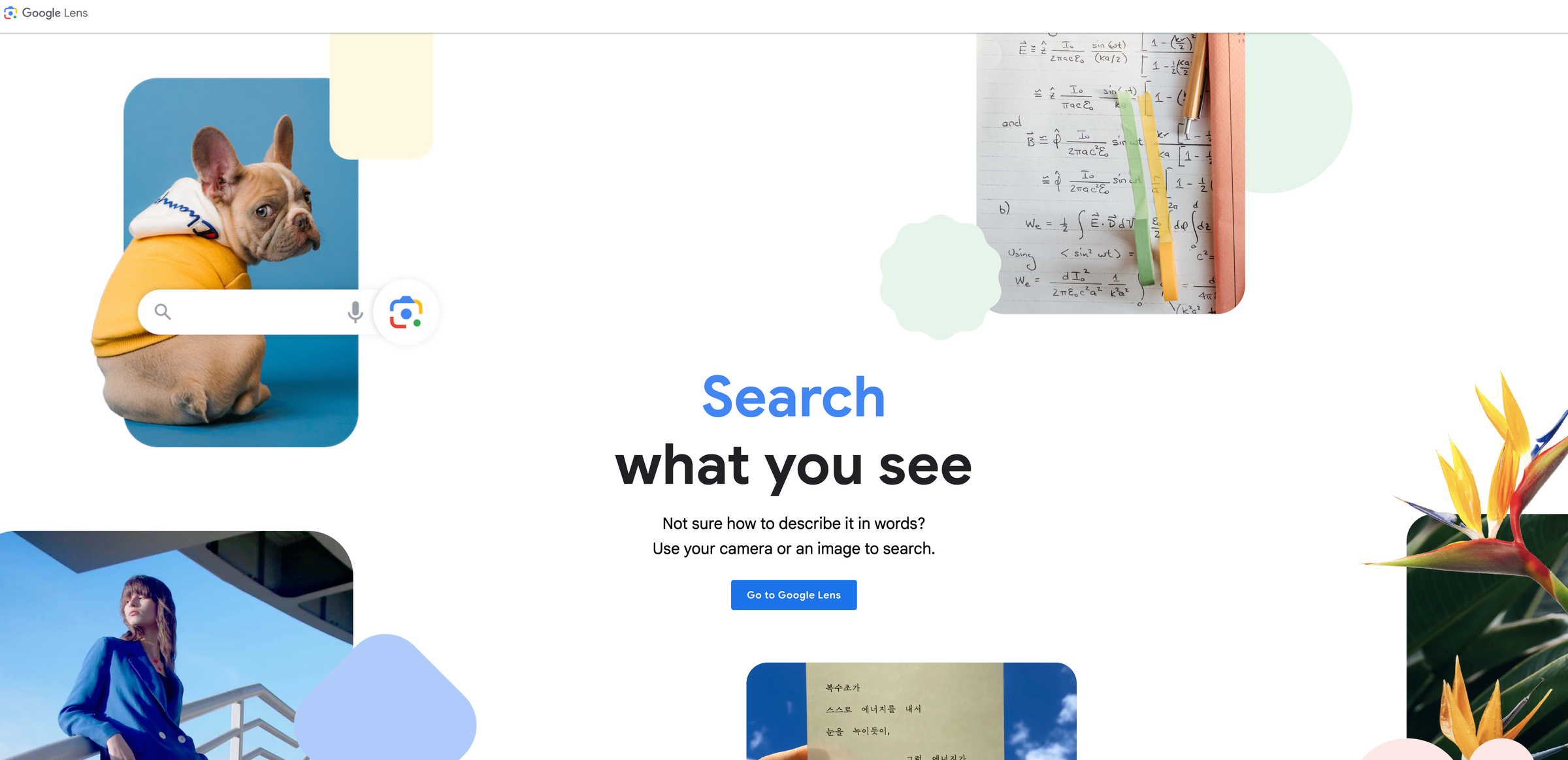 Tak: The Best Perplexity Alternative for Image Search